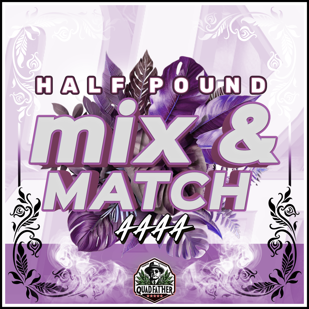 Deals Of The Week - The Quad Father