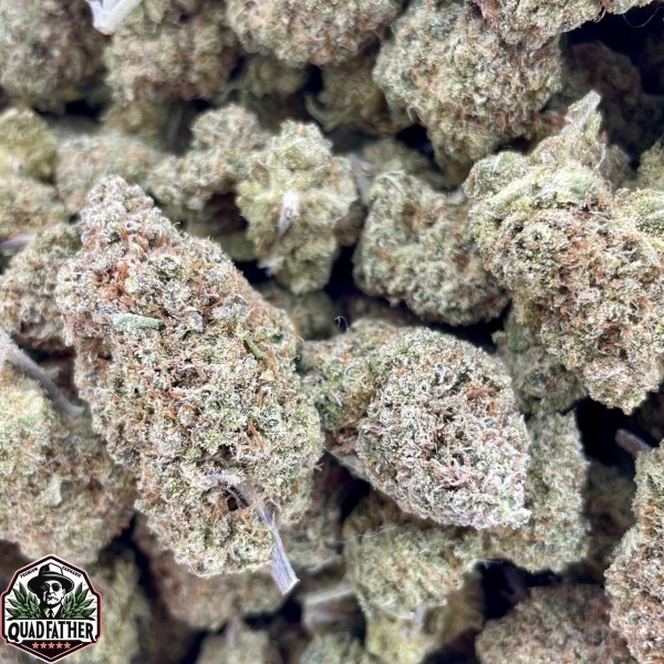 Buy Craft Cannabis at Canada's #1 Online Dispensary | The Quad Father