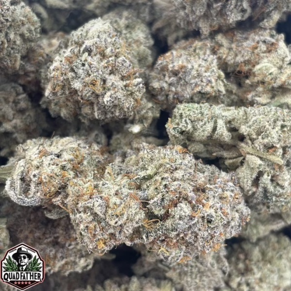 Buy Craft Cannabis at Canada's #1 Online Dispensary | The Quad Father