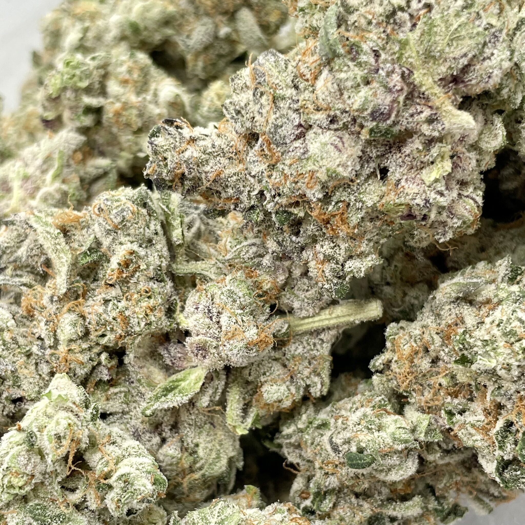 Shop Craft Flower - The Quad Father