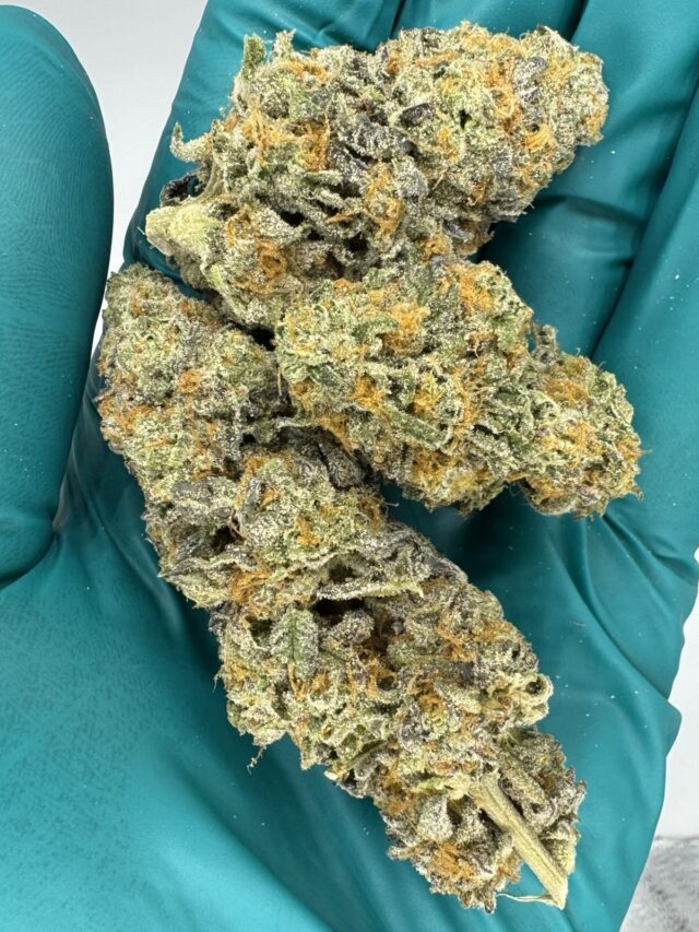 Shop Craft Flower - The Quad Father