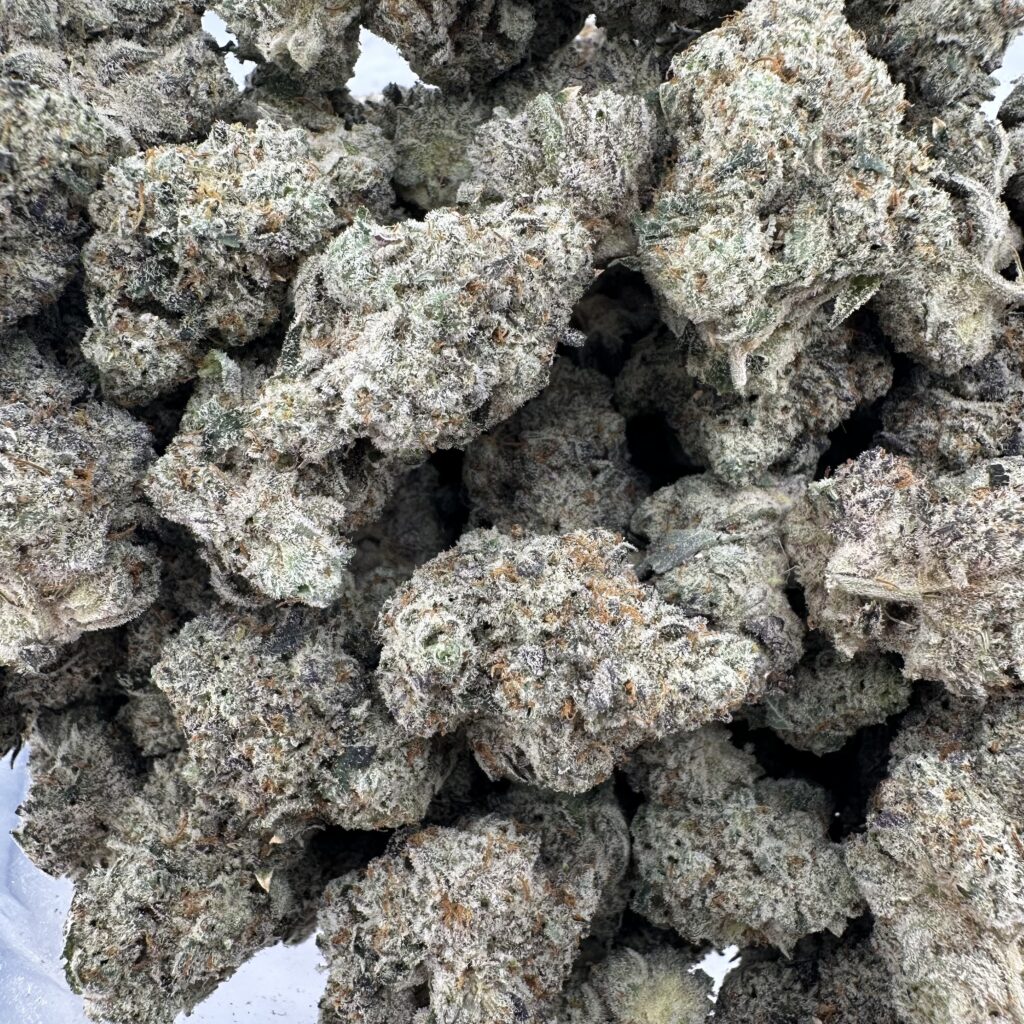 Shop Craft Flower - The Quad Father