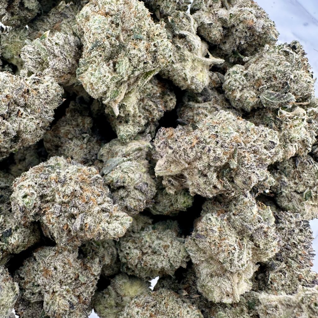 Shop Craft Flower - The Quad Father