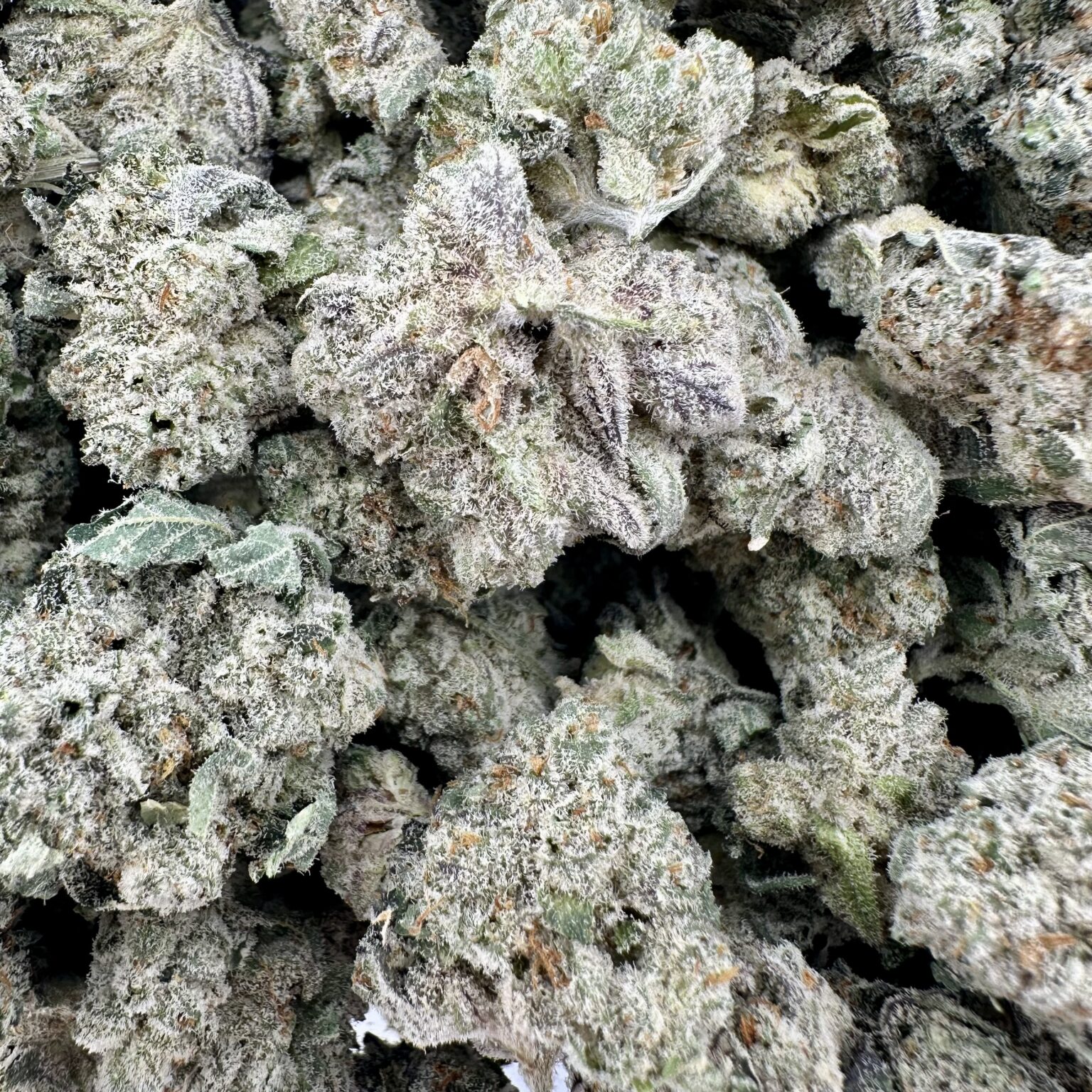 Shop Craft Flower - The Quad Father