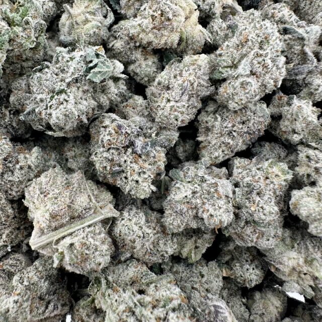 Shop Craft Flower - The Quad Father